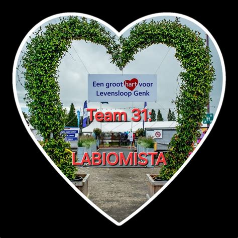 Levensloop Genk On Linkedin Welkom Team 31