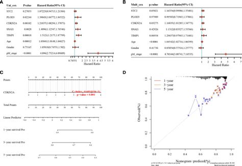 The Cell Cycle Associated Protein Cdkn2a May Promotes Colorectal Cancer Cell Metastasis By