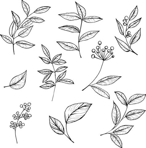Premium Vector Set Of Graphic Vector Plant Branches With Leaves And