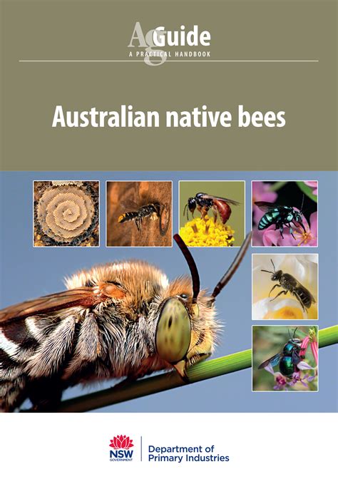 Bees