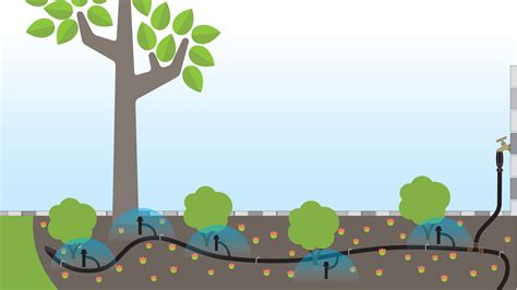 Drip Irrigation For Trees And Shrubs Orbitonline