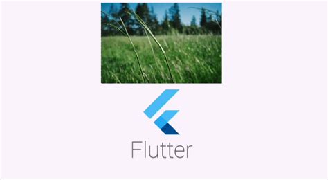Flutter 小技巧之 Shader 实现酷炫的粒子动画 · Gitbook