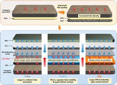 Schematic Of The Hole Transport And Charge Carrier Recombination In The Download Scientific
