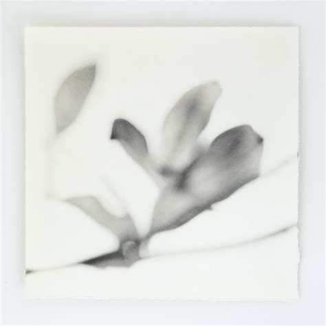 Minis — Grace Dines