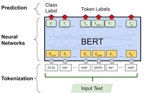 一文搞懂大模型的分词器（tokenizer）bert Tokenizer Csdn博客