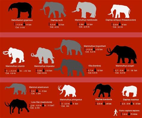 What Is The Difference Between Extinct And Extant