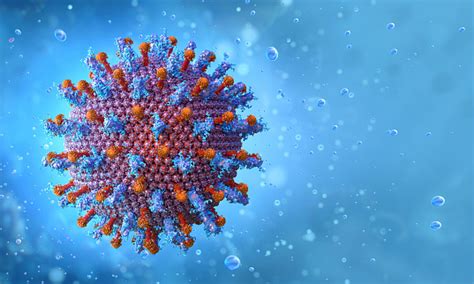 Hepatitis B Virus Cell Model Structure Of The Hepatitis B Infection