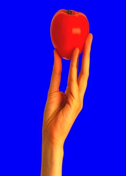 Ernesto C Models Plus