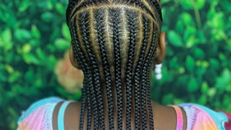 Two Braids Hairstyles For School