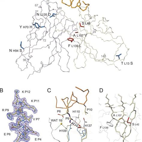 Affinity Determination Using Inhibition Biacore The Dissociation