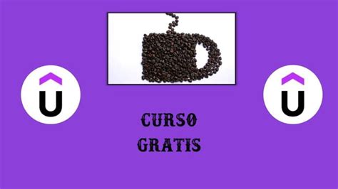 Curso Gratis De Java Para Principiantes Cursotecaplus