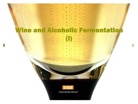 Ppt Wine And Alcoholic Fermentation I Powerpoint Presentation Free