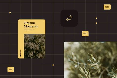 Document Conversion Sdk — Office Files To Pdfs And More