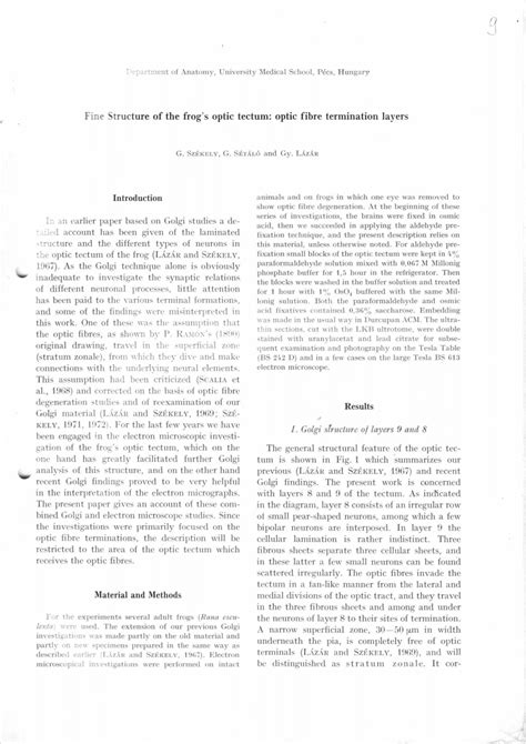 Pdf Fine Structure Of The Frogs Optic Tectum Optic Fiber Termination Layers