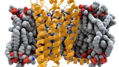 The ‘crispr Babies Story A Recurring Ethical Nightmare Evolving Science