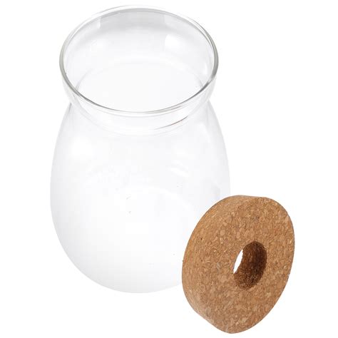 Office Decor Ecosystem Terrarium Glass Containers Micro Landscape