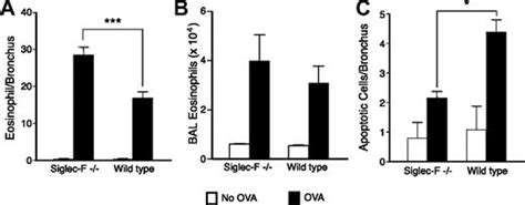 Defining The In Vivo Function Of Siglec F A Cd33 Related Siglec Expressed On Mouse Eosinophils
