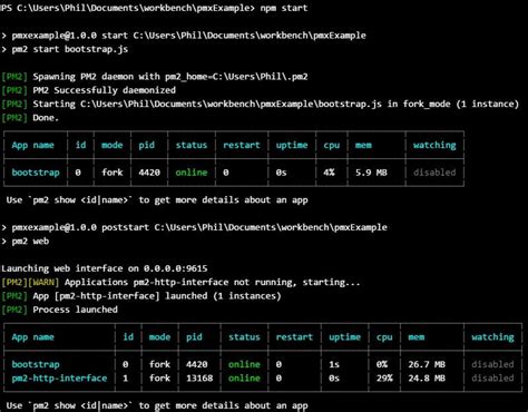 Exposing Nodejs Process Metrics Using Pm2 And Pmx Rnode