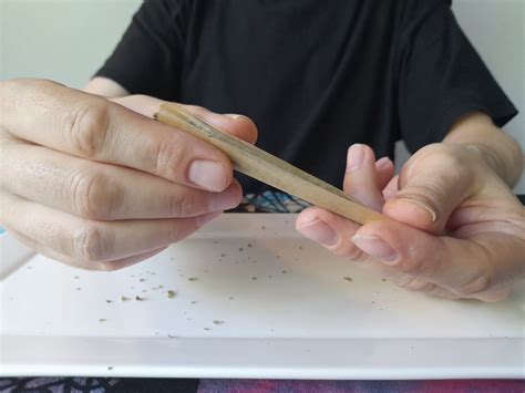 How To Roll A Joint Archives Cannabis Seeds Humboldt Seed Company