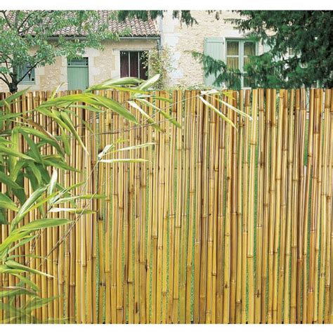 Arella Bamboo Canna Grossa Bambooflex Mt2 X 3