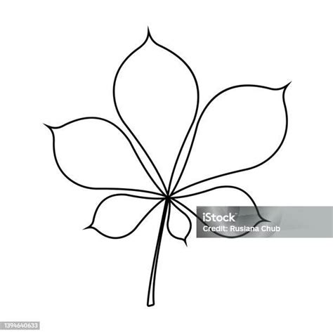 흰색 배경에 꽃잎이있는 밤나무 잎 채색을위한 검은 색 윤곽선의 선형 아이콘입니다 벡터 밤나무속에 대한 스톡 벡터 아트 및 기타