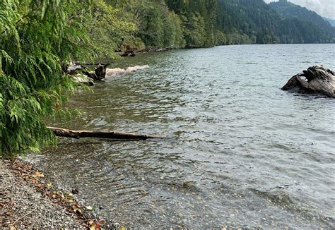 Lake Whatcom A Guide To One Of Bellingham S Gems Bellingham Real