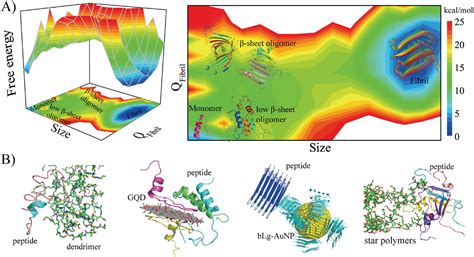 Mitigation Of Amyloid Aggregation And Toxicity Clemson Multiscale