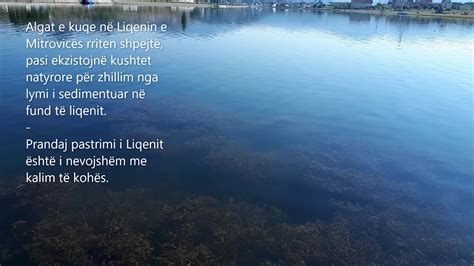 Algat E Kuqe Në Liqenin E Mitrovicës 20190721 D Youtube