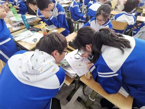 法制在心间 高中法制教育实践活动刑侦分析案件