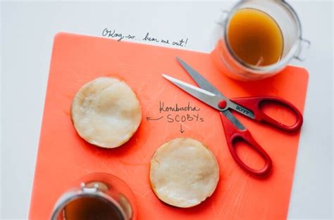 Kombucha Scoby Candy For Using Extra Mothers Live Eat Learn