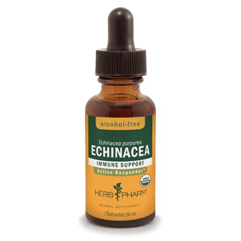 Echinacea Root Liquid Extract Club Qigong
