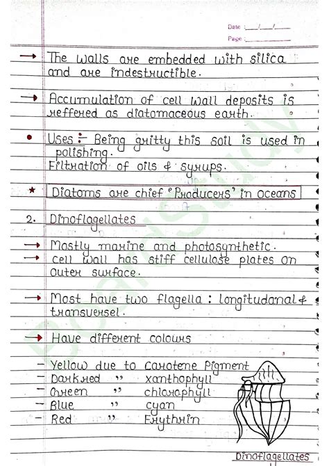 Ncert Class 11 Biology Biological Classification Notes Pdf Handwritten