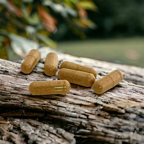 Immunity Shield Lacuna Botanicals