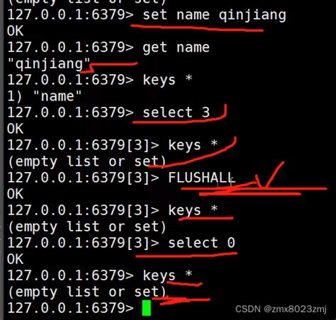 redis redis查看用户列表 csdn博客