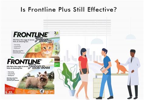 Is Frontline Plus Still Effective In 2020 Bestvetcare