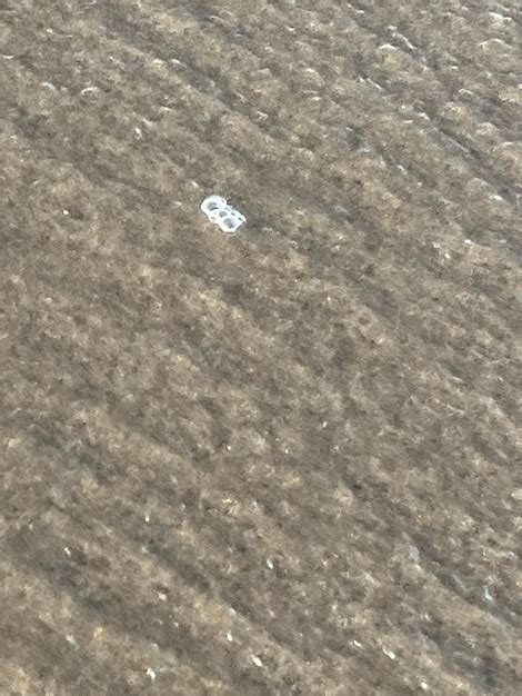 Premium Photo Texture Of Water At The Seashore