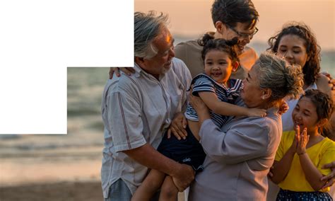 Access™ Software Ogm Data Analysis And Remote Management Software