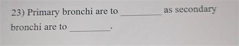 Solved Primary Bronchi Are To As Secondary Bronchi Are To Biology