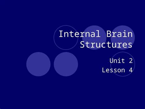 Ppt Internal Brain Structures Unit 2 Lesson 4 Objectives Identify