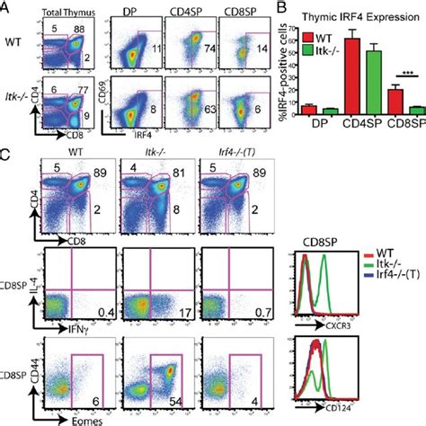 Domain Structure Of Itk Kinase Download Scientific Diagram