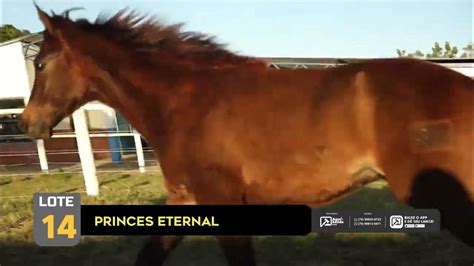 14 Princes Eternal Youtube