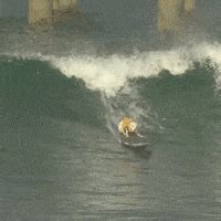 Surfing Animated 