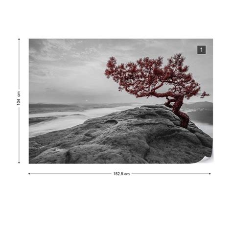 Fotobehang Mountain Tree Vel 1525cm X 104cm 130grm2 Vlies