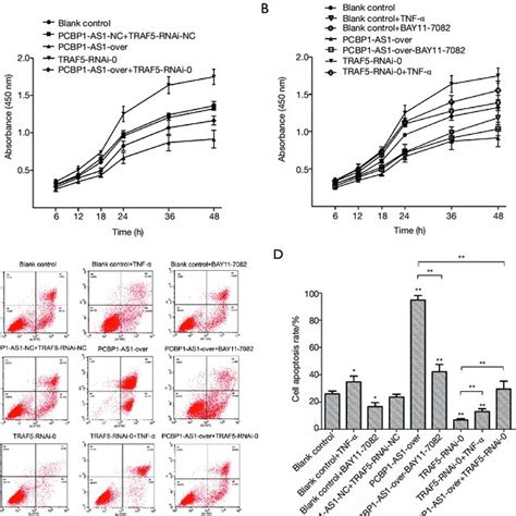 Abnormal Expression Of Pcbp1 As1 Influences Sw954 Cell Proliferation Download Scientific