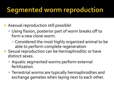 Ppt Worms Powerpoint Presentation Free Download Id1925973