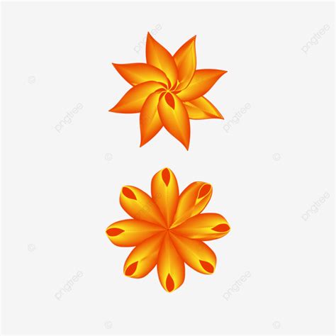 Orange Color Flower Vector Weding Flower Orange Color Flower Vector