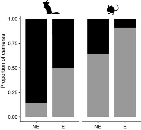 Proportion Of Camera Traps With Presence Of Common Genet Inside Lynx