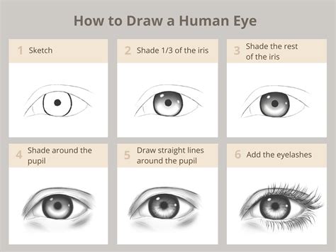 How To Draw Realistic Human Eyes 7 Steps With Pictures