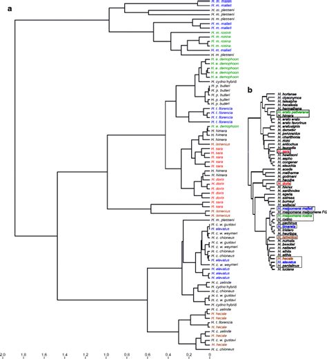 A Full Cluster Analysis Based On Individual Compositions Of Compounds