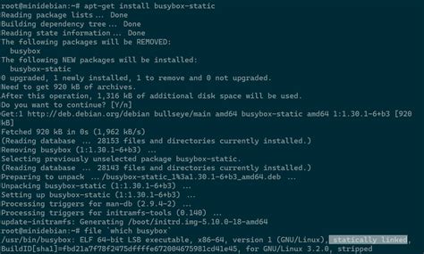 When You Deleted Lib On Linux While Still Connected Via Ssh